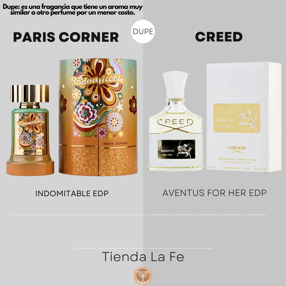 PARIS CORNER INDOMITABLE EDP 100ML (M) (DUPE CREED AVENTUS FOR HER EDP